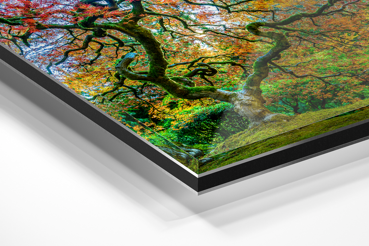 FaceMount acrylic plexiglass printing